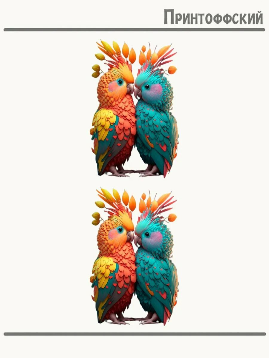 2-е (Две) Термонаклейки цветные попугаи parrots colored