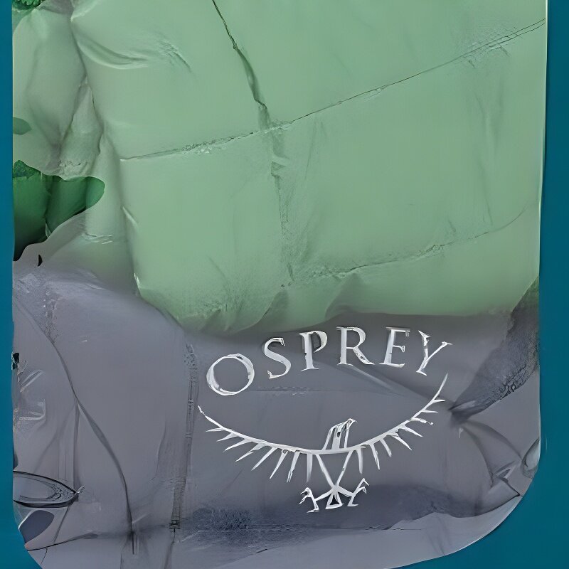 Сумка Osprey — фото 1