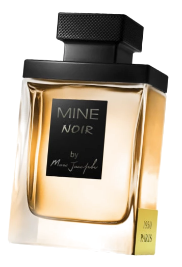 Марк Джозеф Майн Нуар 100 мл мужской парфюм / Marc Joseph Mine Noir