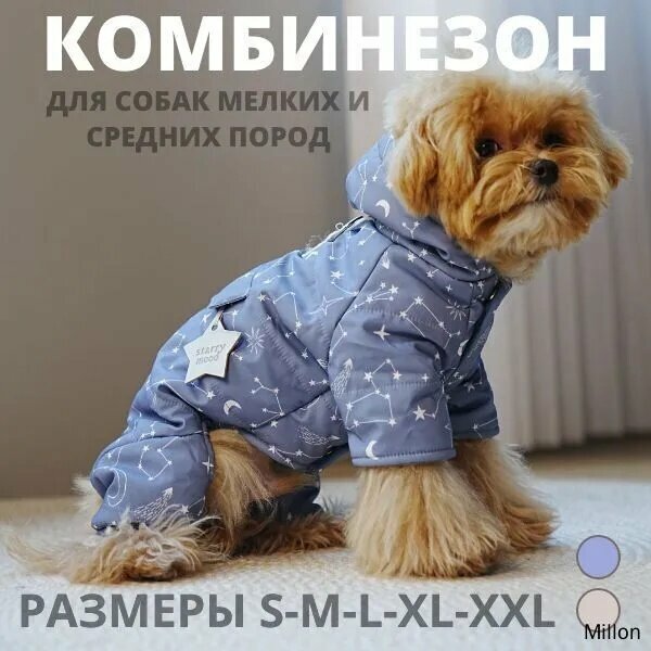 Одежда для животных