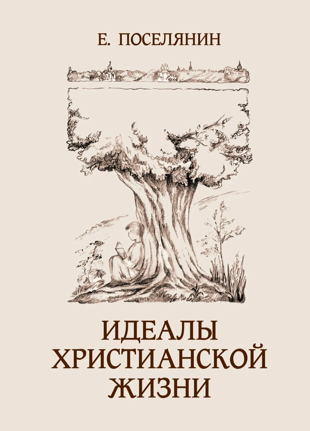 Идеалы христианской жизни [Цифровая книга]