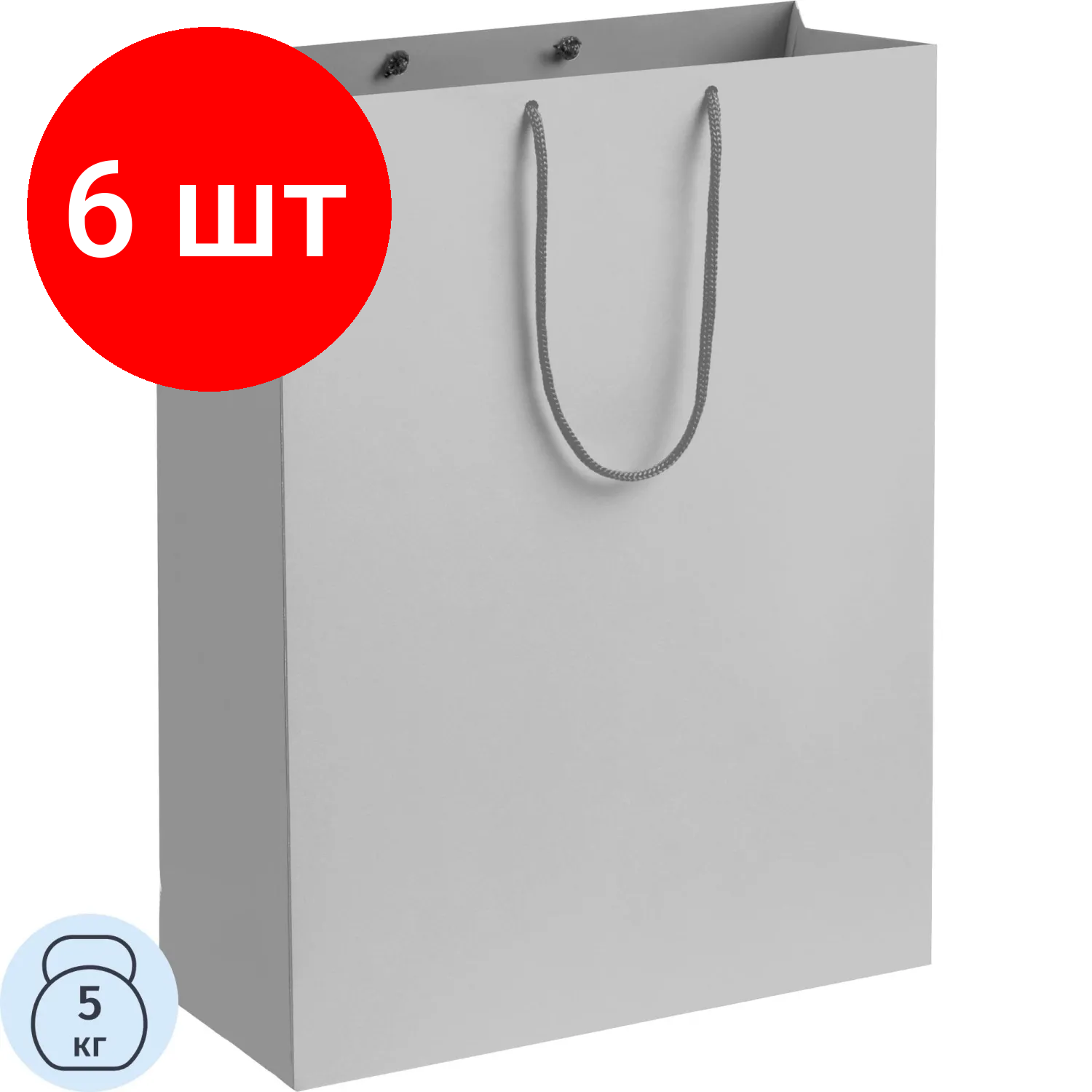 Комплект 6 штук, Пакет подарочный бумажный Porta XL, серый, 30х40х12см,15838.10