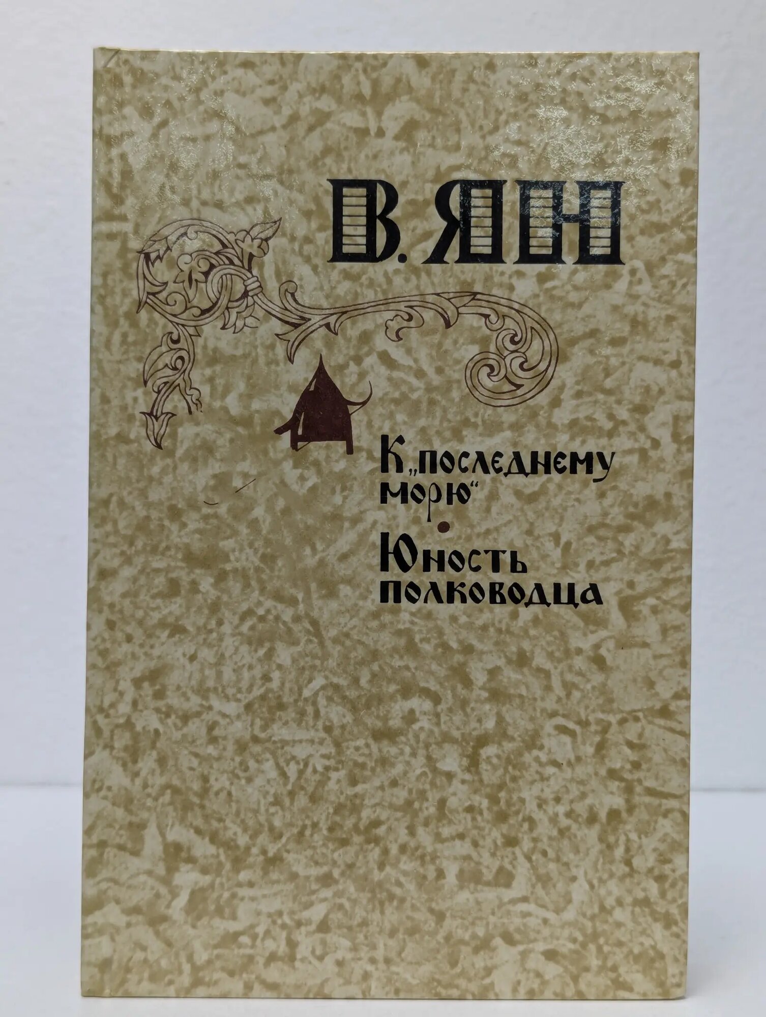 К "последнему морю". Юность полководца Ян Василий Георгиевич 1981
