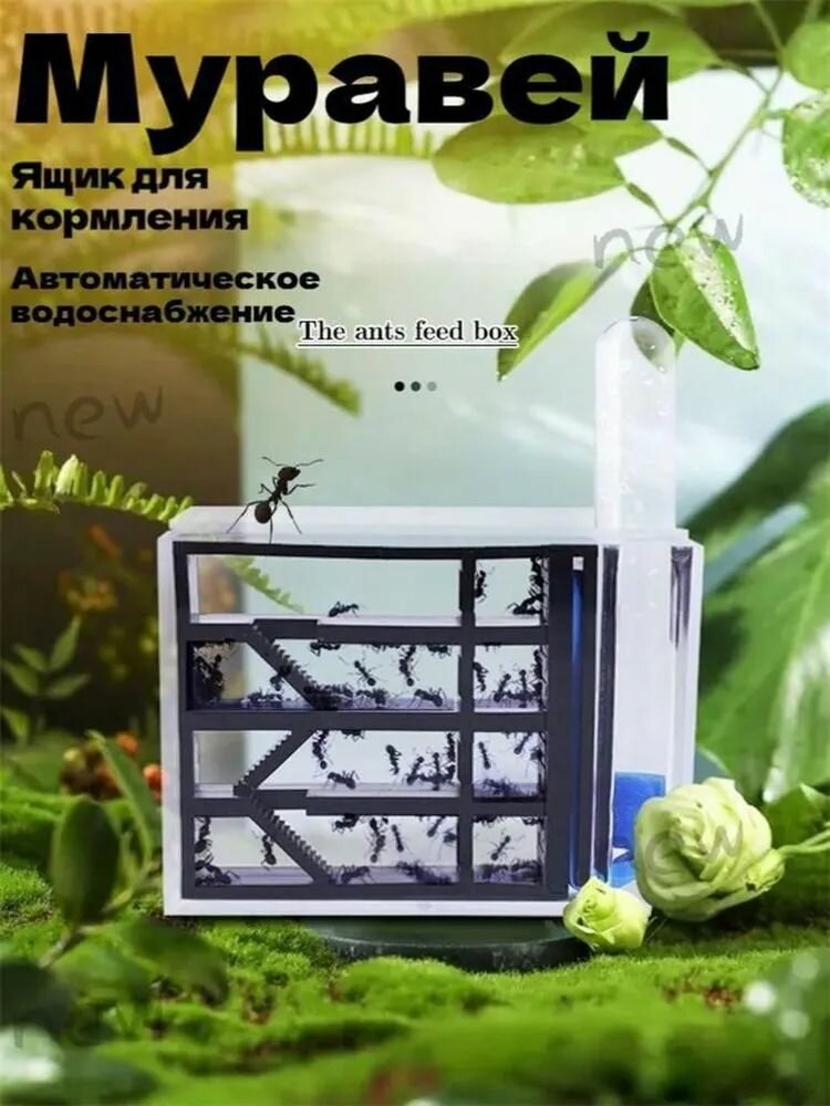 Муравьиная ферма, акриловый формикарий для наблюдения за насекомыми