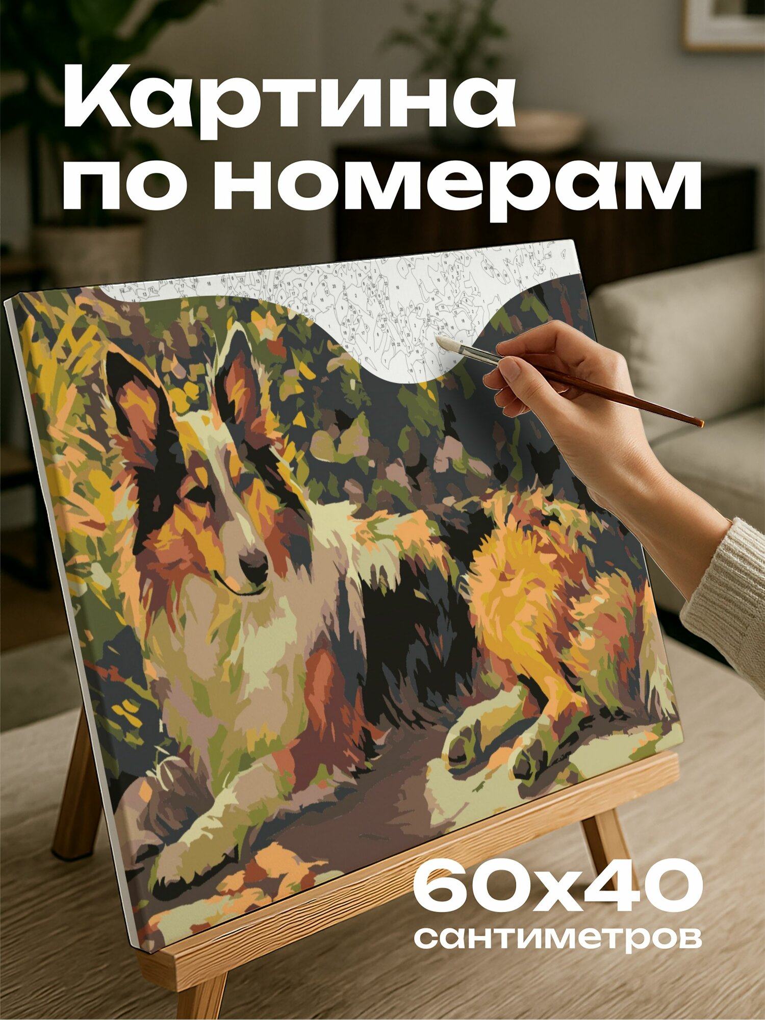 Картина по номерам 60x40 см, картина, масло, колли, солнце, сад, краски, свет, тень, умиротворение, расслабление