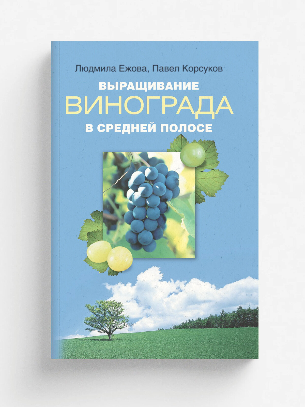 Выращивание винограда в средней полосе