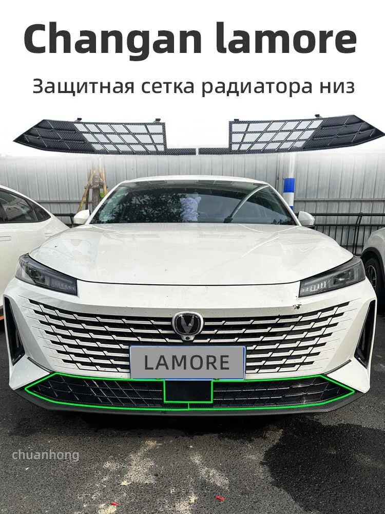 Защита внешних частей автомобиля для Changan Lamore, 2 шт. Защита радиатора. ABS пластик