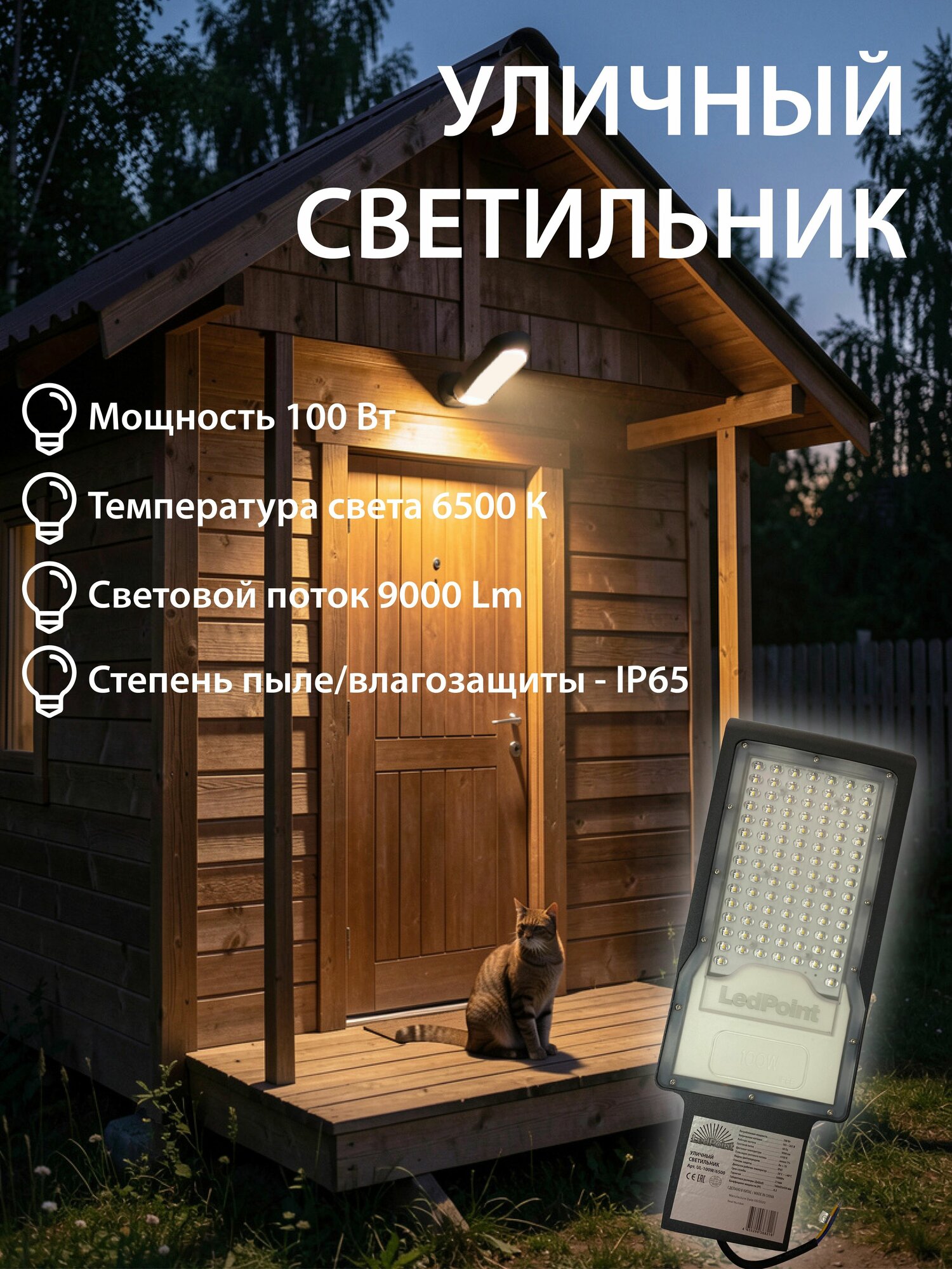 Светильник уличный светодиодный Led Point UL-100W/6500
