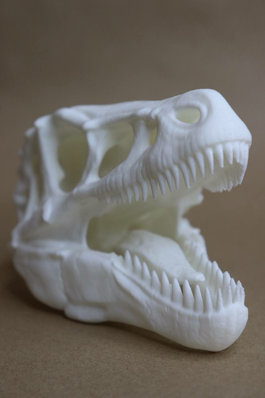 3D портрет череп Велоцираптора
