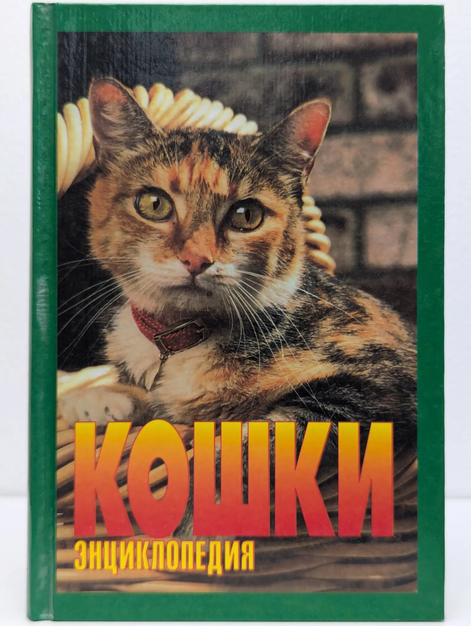 Кошки. Энциклопедия Пуньетти Джино 1999