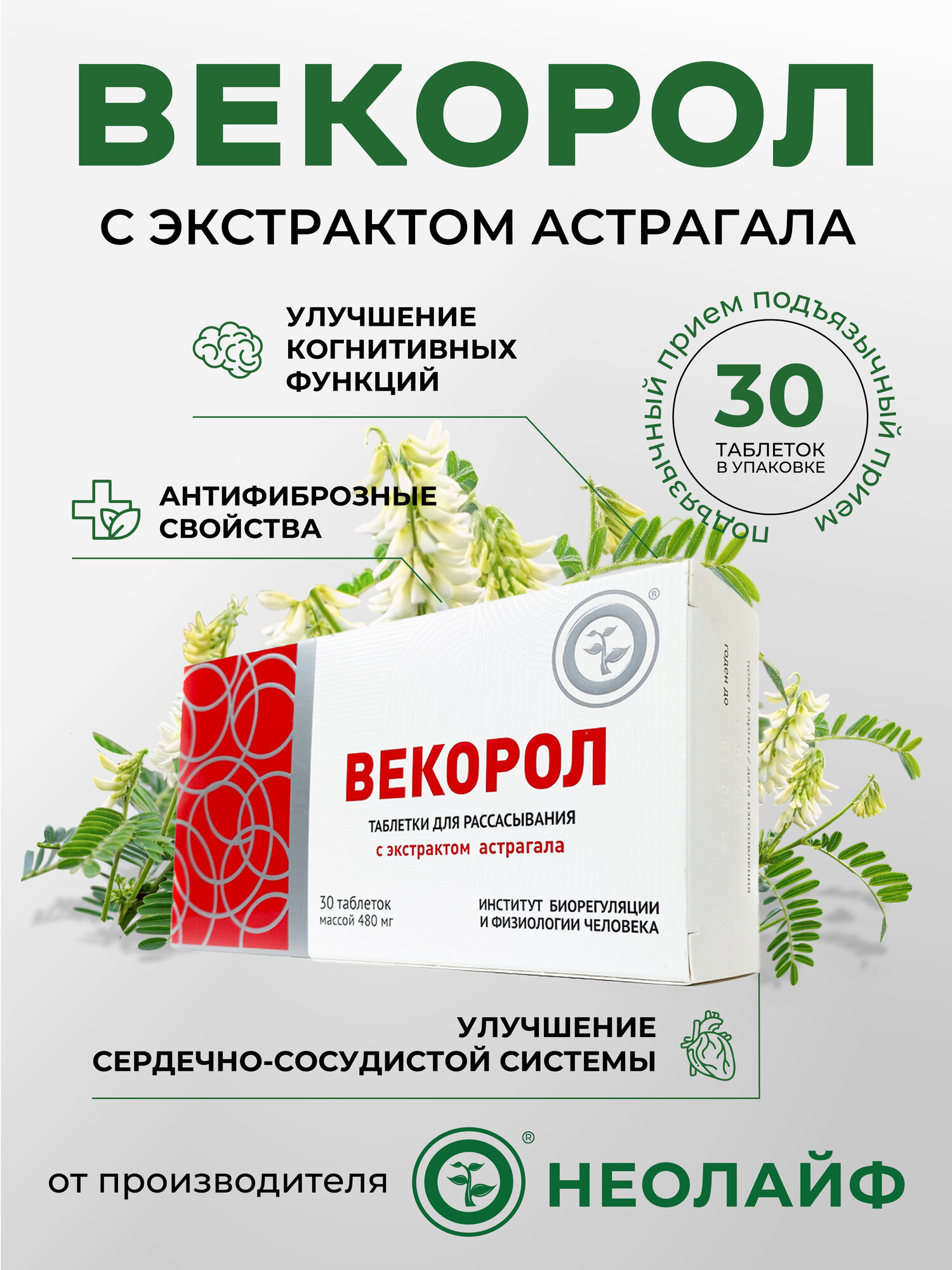 БАД к пище «векорол», для памяти и концентрации, 30 таблеток по 480 мг