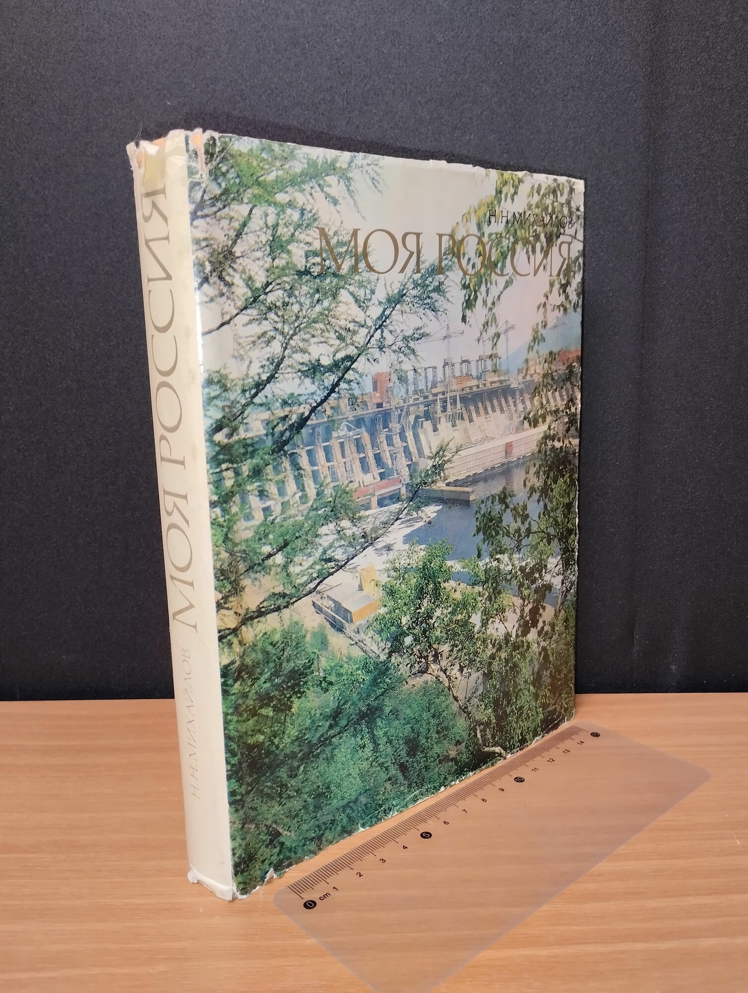 Моя Россия. Михайлов Николай Николаевич. 1979