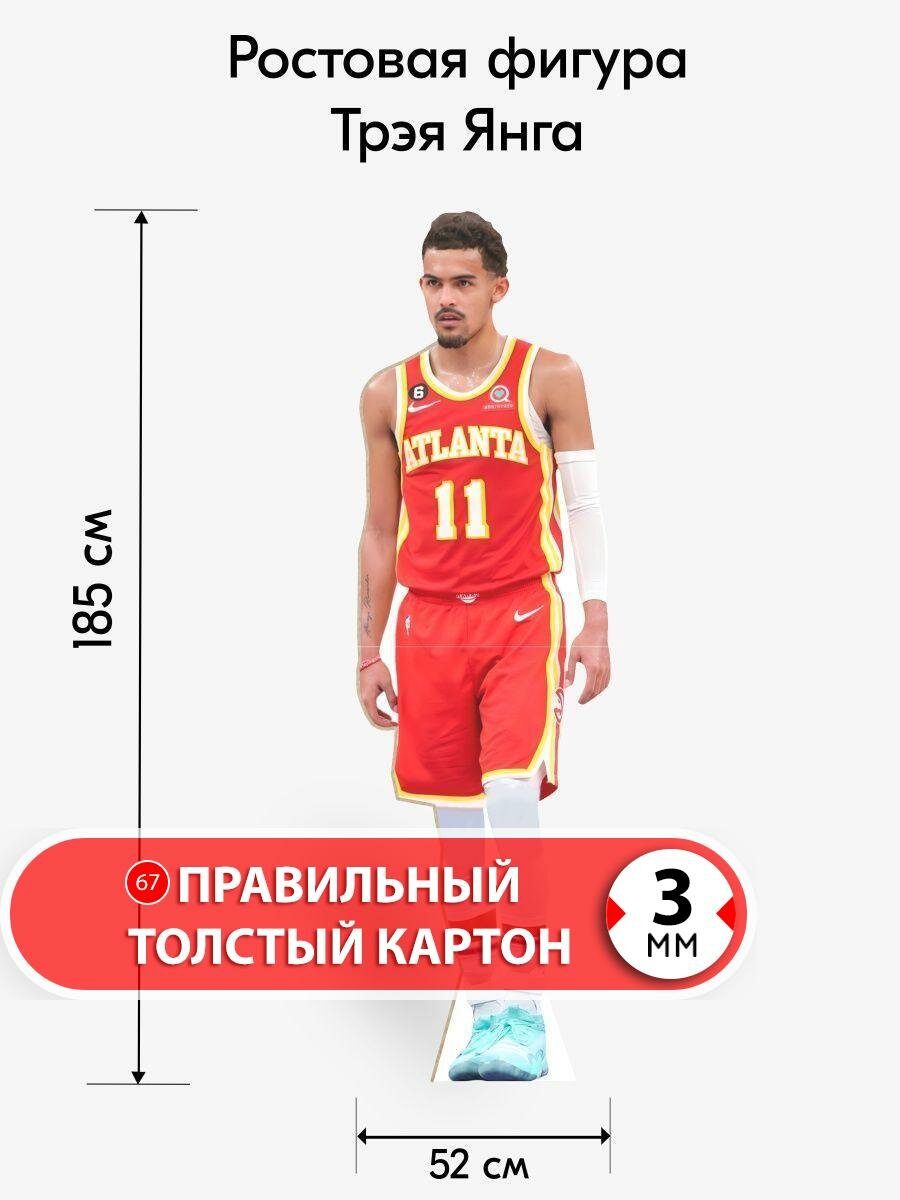 Аксессуар для фотосессий, самое это, Трэй Янг ростовая фигура