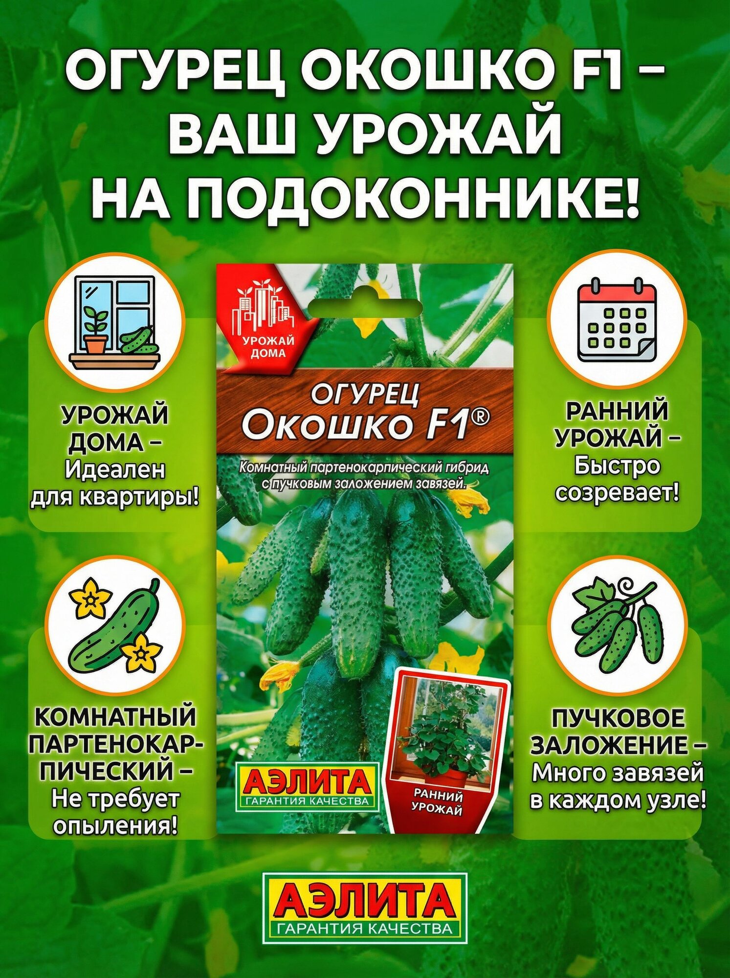 Семена огурца Окошко F1