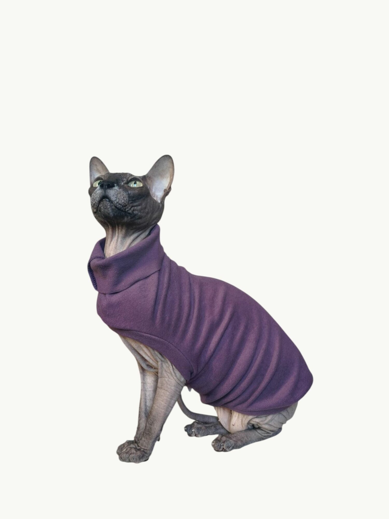 Одежда для животных