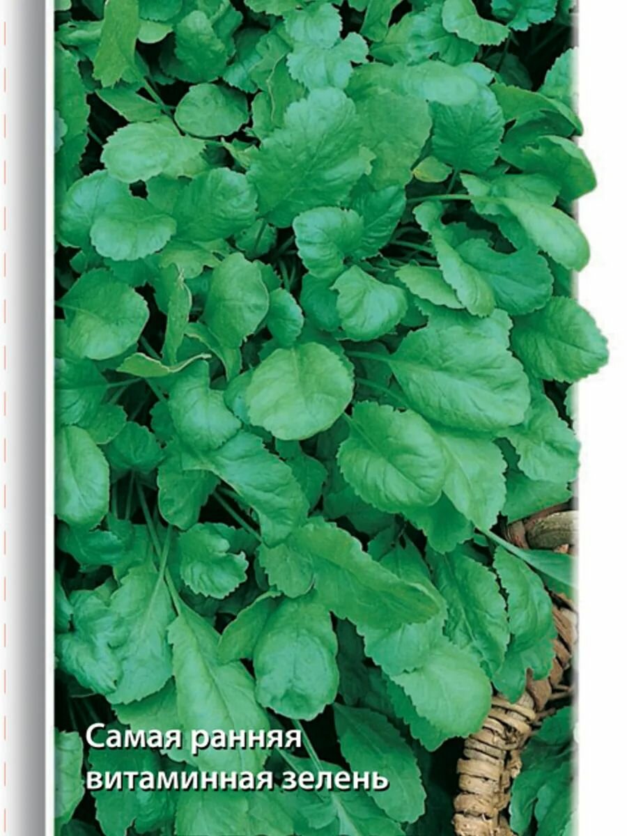 Кресс-салат Дукат 1 г, Семена Поиск