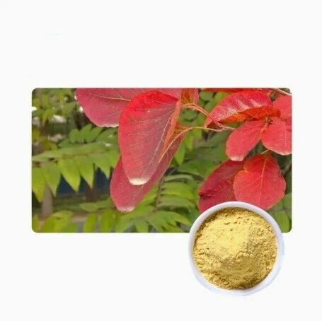 20 г, Fisetin 98% Физетин (вэжх) Экстракт дымчатого дерева/Cotinus Coggygria