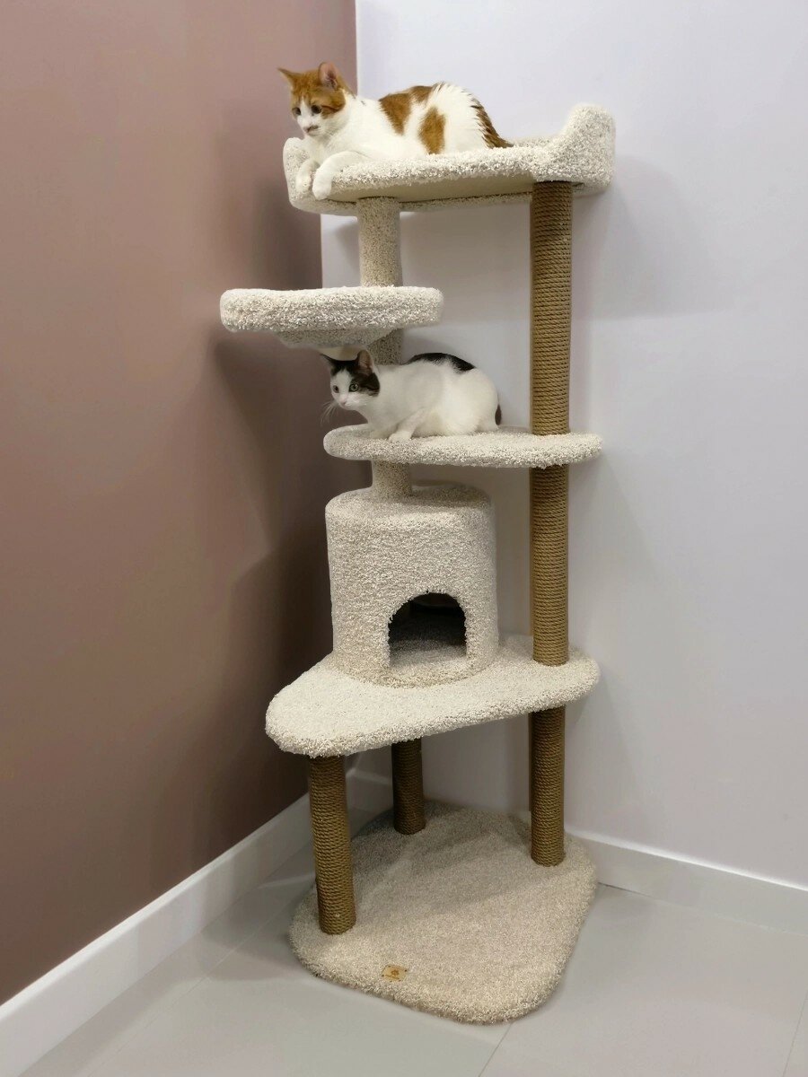 Игровой комплекс для кошек Моя Котя "МОЯ котя" ковролин белый, джутовый канат