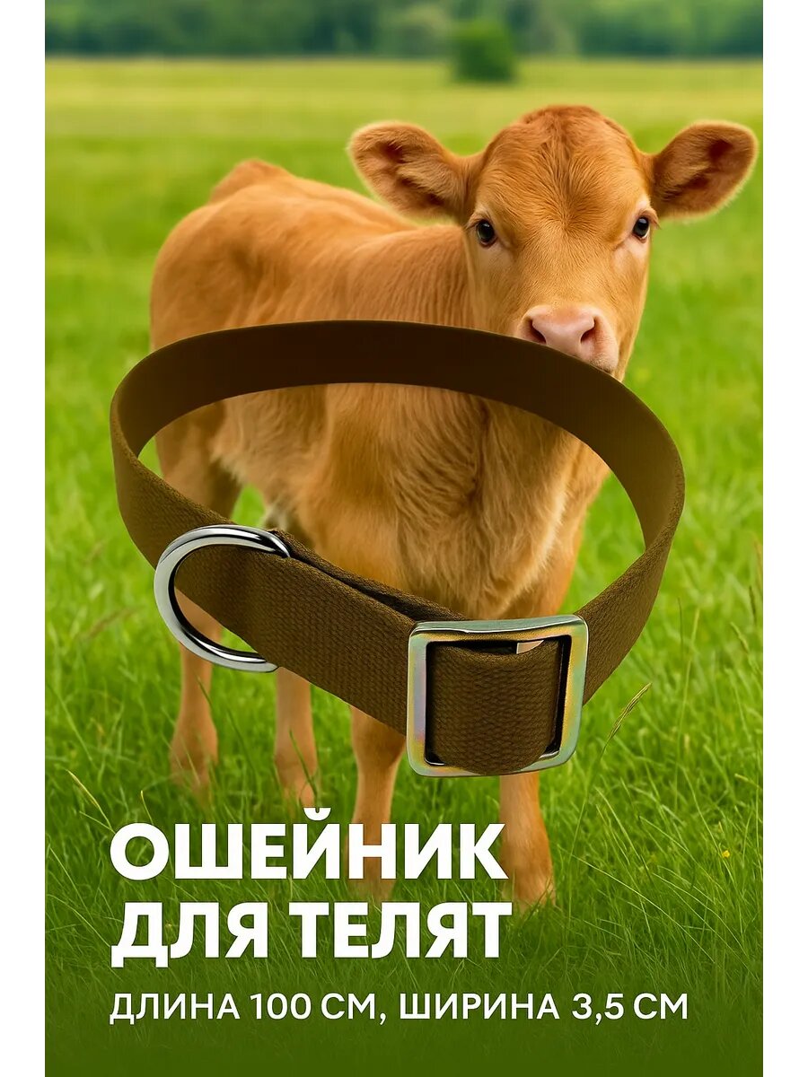 Ошейник для телят, коров, КРС