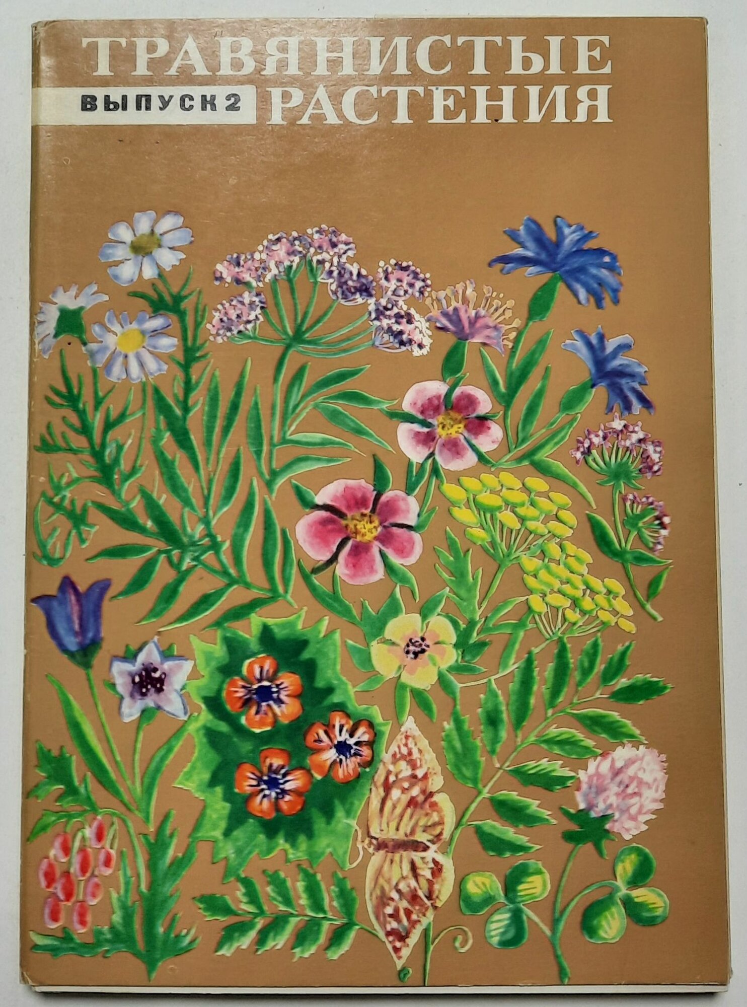 Травянистые растения. Выпуск 2