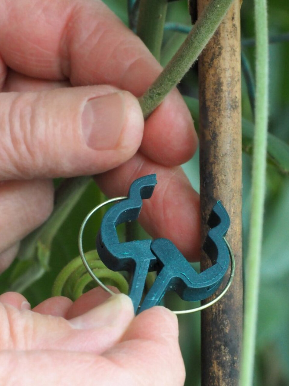 Набор зажимов для подвязки растений Мультидом 20 шт, садовые клипсы-держатели томатов, огурцов, артикул VL83-229.