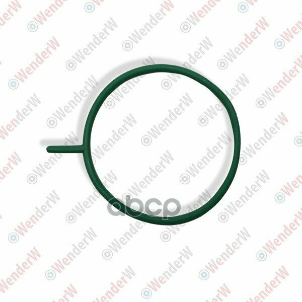 Прокладка вакуумного насоса FORD TRANSIT CONNECT (02-.) WenderW арт. WEPR0499