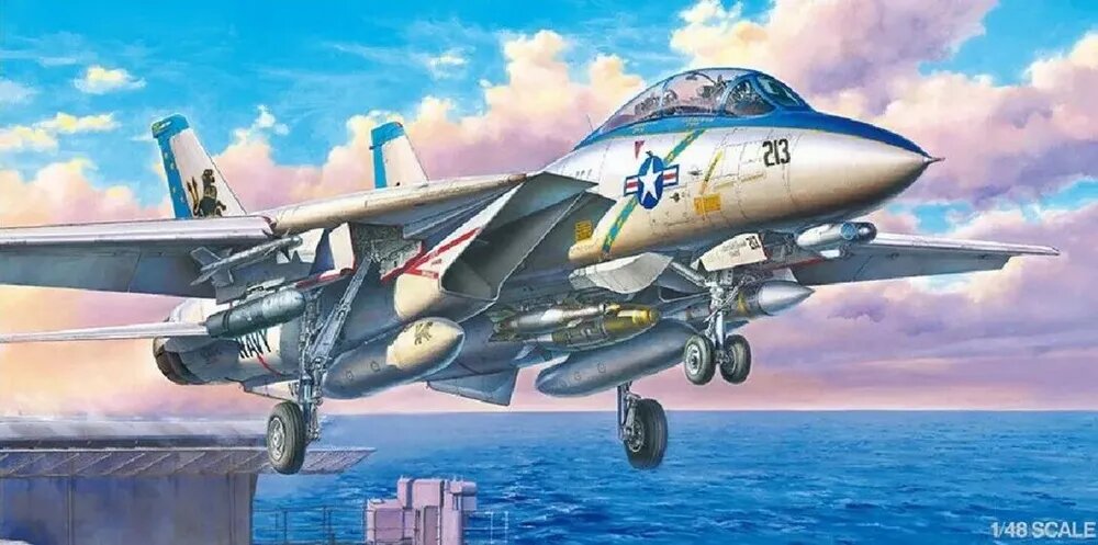 Сборная модель самолета Tamiya 1/48 61118 Grumman F-14D Tomcat - детализированная модель для сборки и покраски