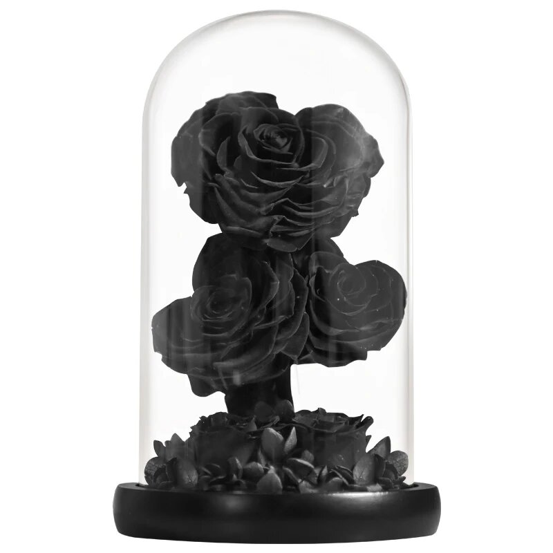 Черная вечная роза в куполе AINYROSE, 3 головы