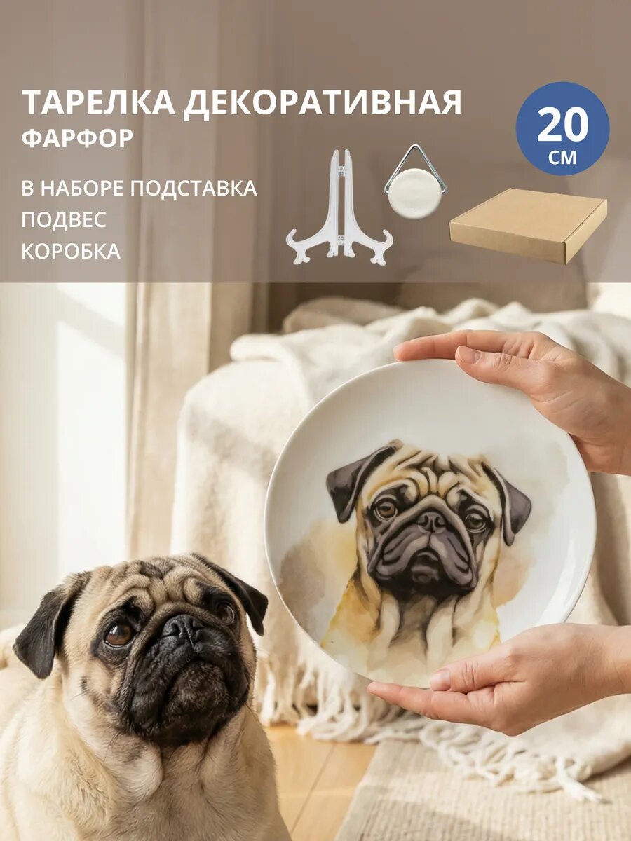Тарелка декоративная фарфоровая 20 см Добрушский фарфор Локи