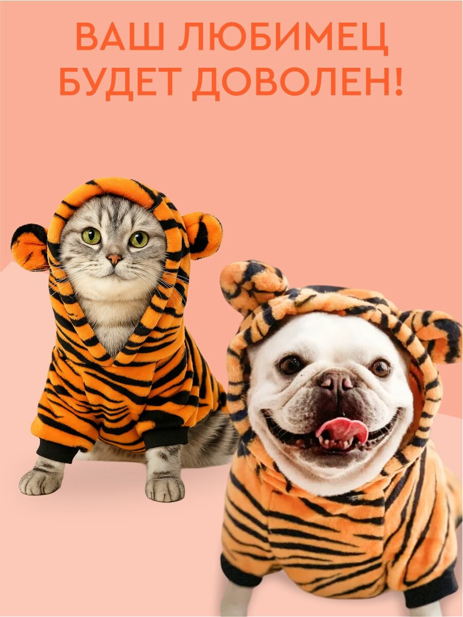 Одежда для животных — фото 1