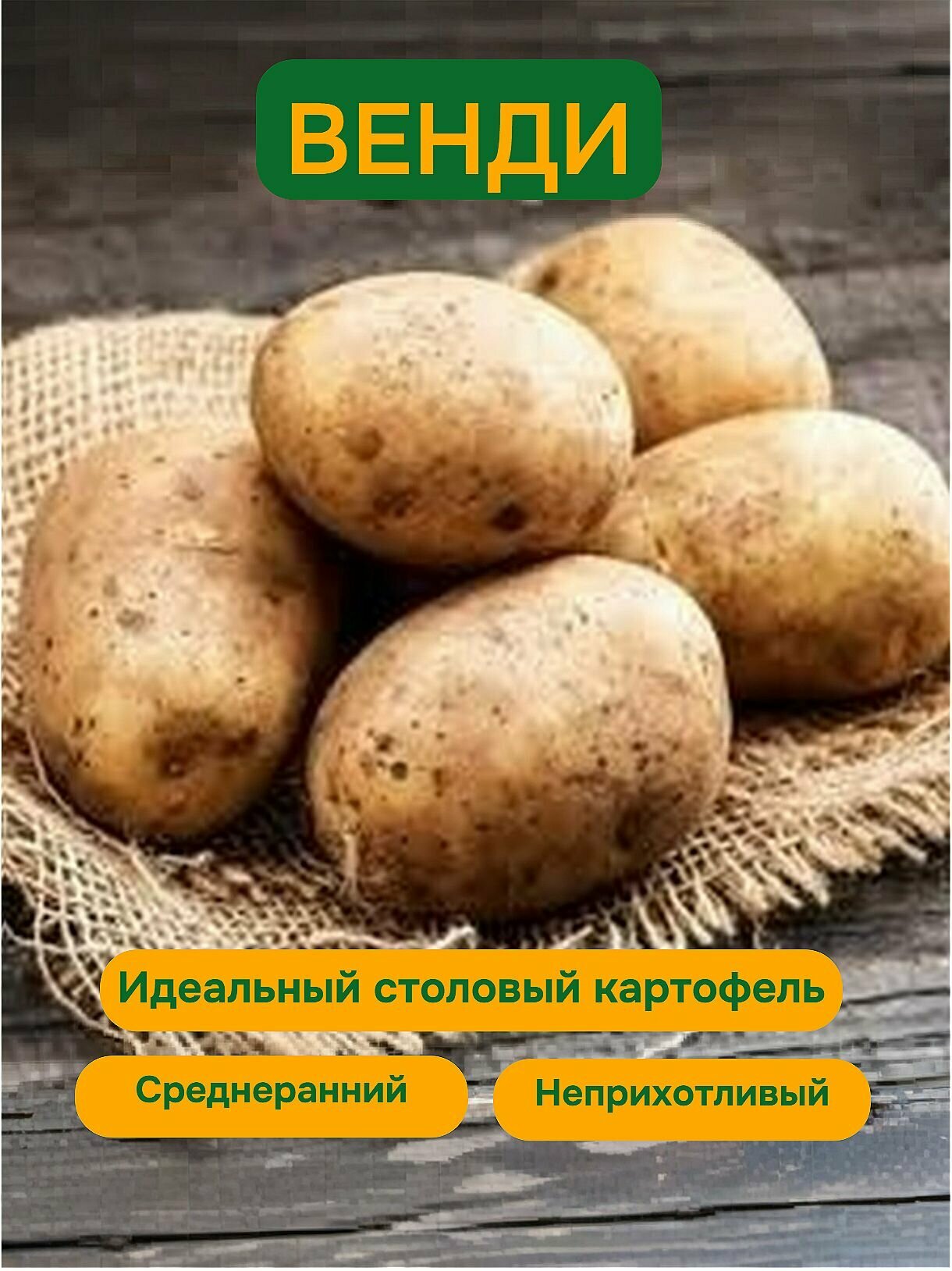 Картофель семенной клубни на посадку сорт Венди среднеранний 6 кг