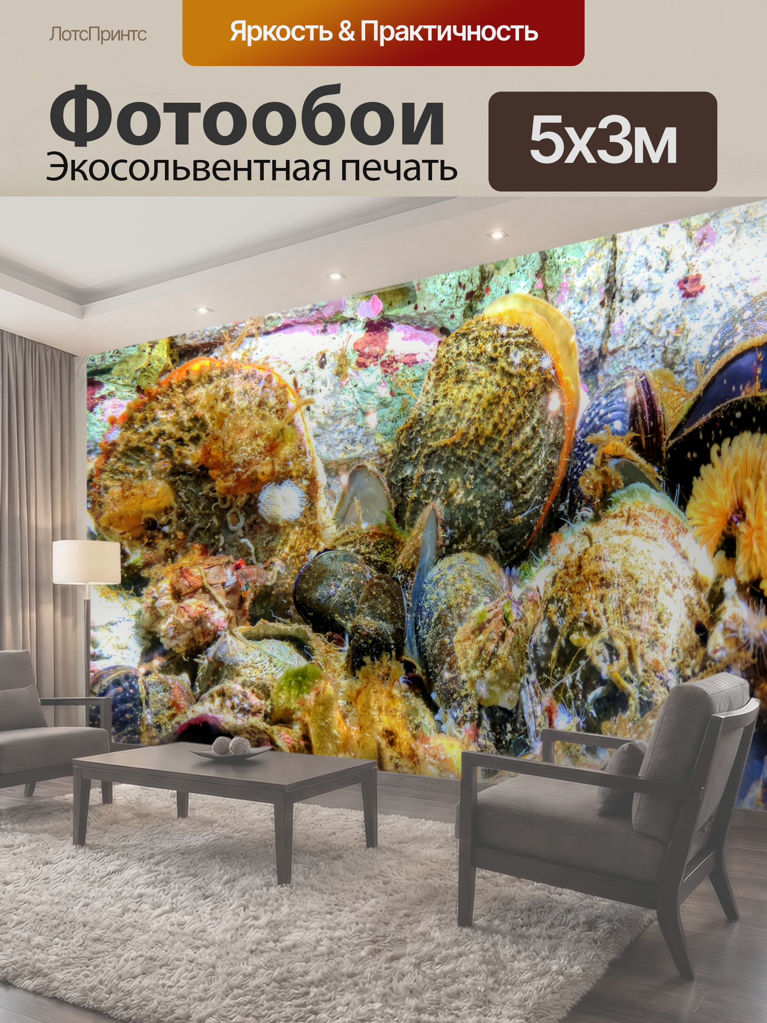 Фотообои "Моллюски художественное прикосновение к морским моллюскам в аквариуме моллюск моллюски аквариум двустворчатые моллюски морская жизнь океан море" 500x300 см. экосольвентная печать