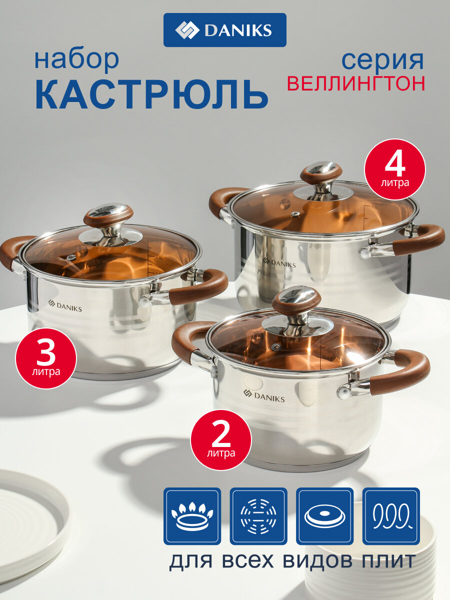 Набор посуды нержавеющая сталь, 6 предметов, кастрюли 2, 2.8, 3.8 л, индукция, Daniks, Веллингтон, GS-01415-6SE