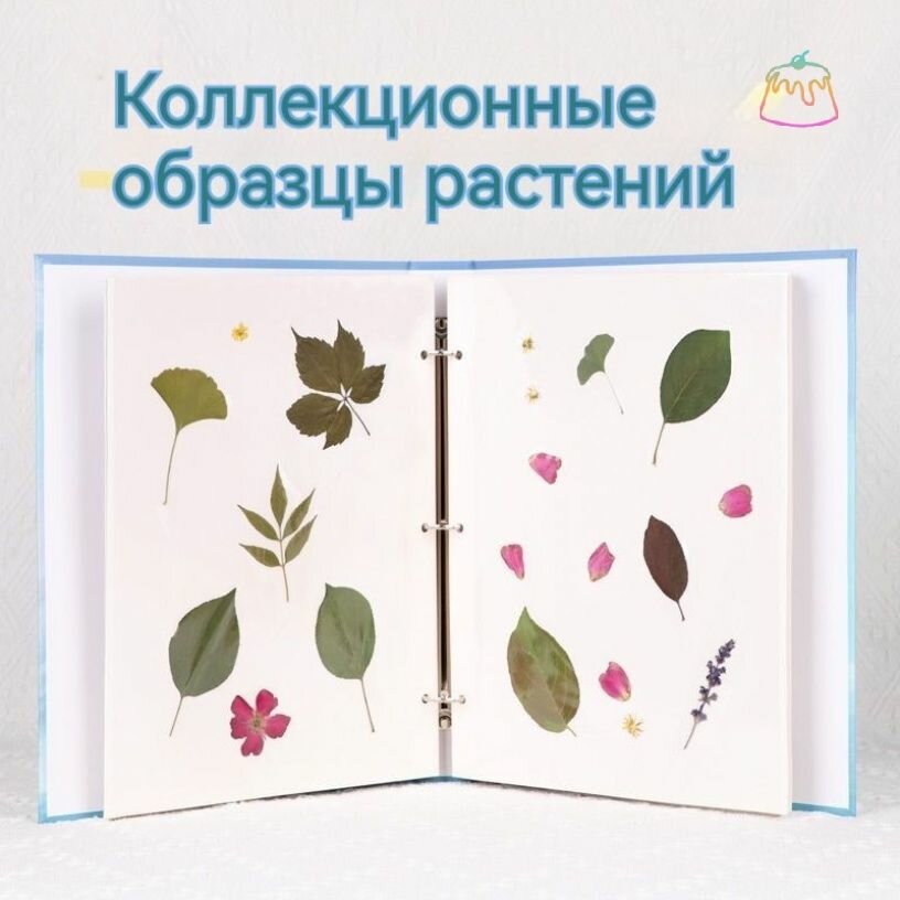 Эксклюзивный сбор растений