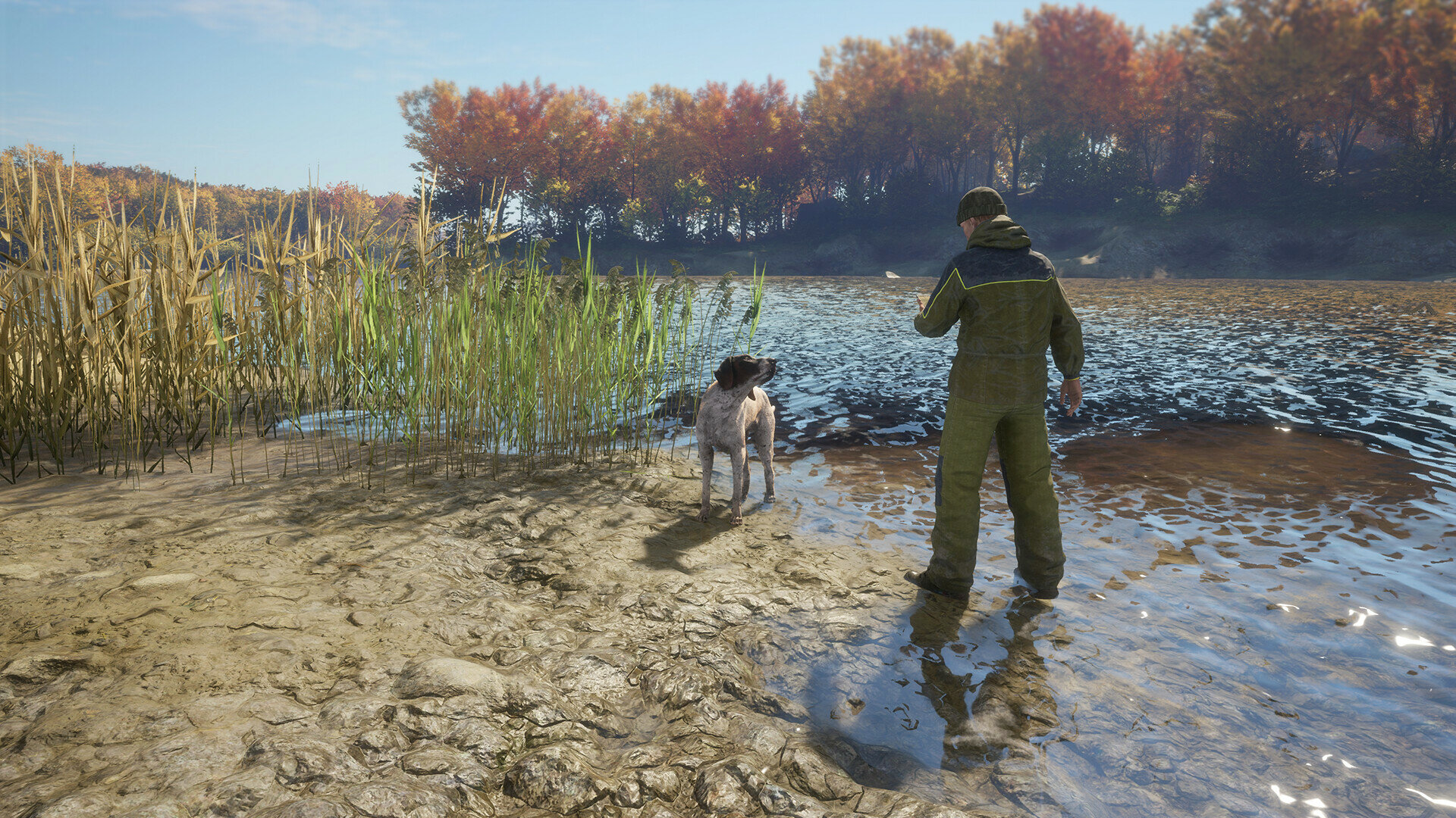 TheHunter: Call of the Wild - German Shorthaired Pointer DLC PC Steam Ключ (valid until March, 2027)