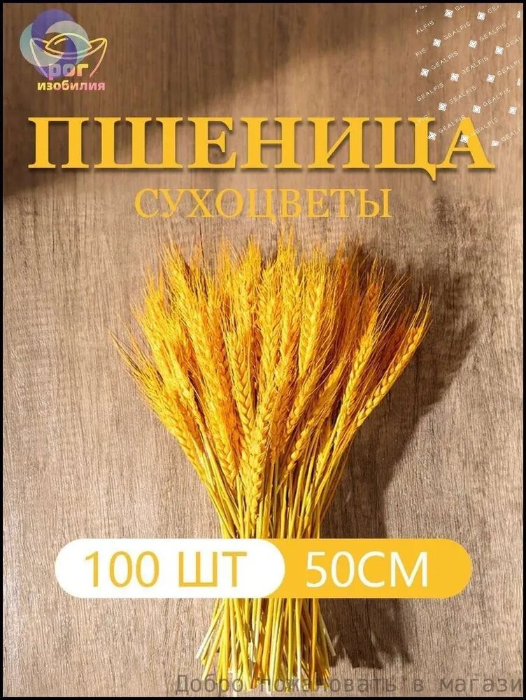 Сухоцветы Пшеница, 50 см, 145 гр, 1 шт