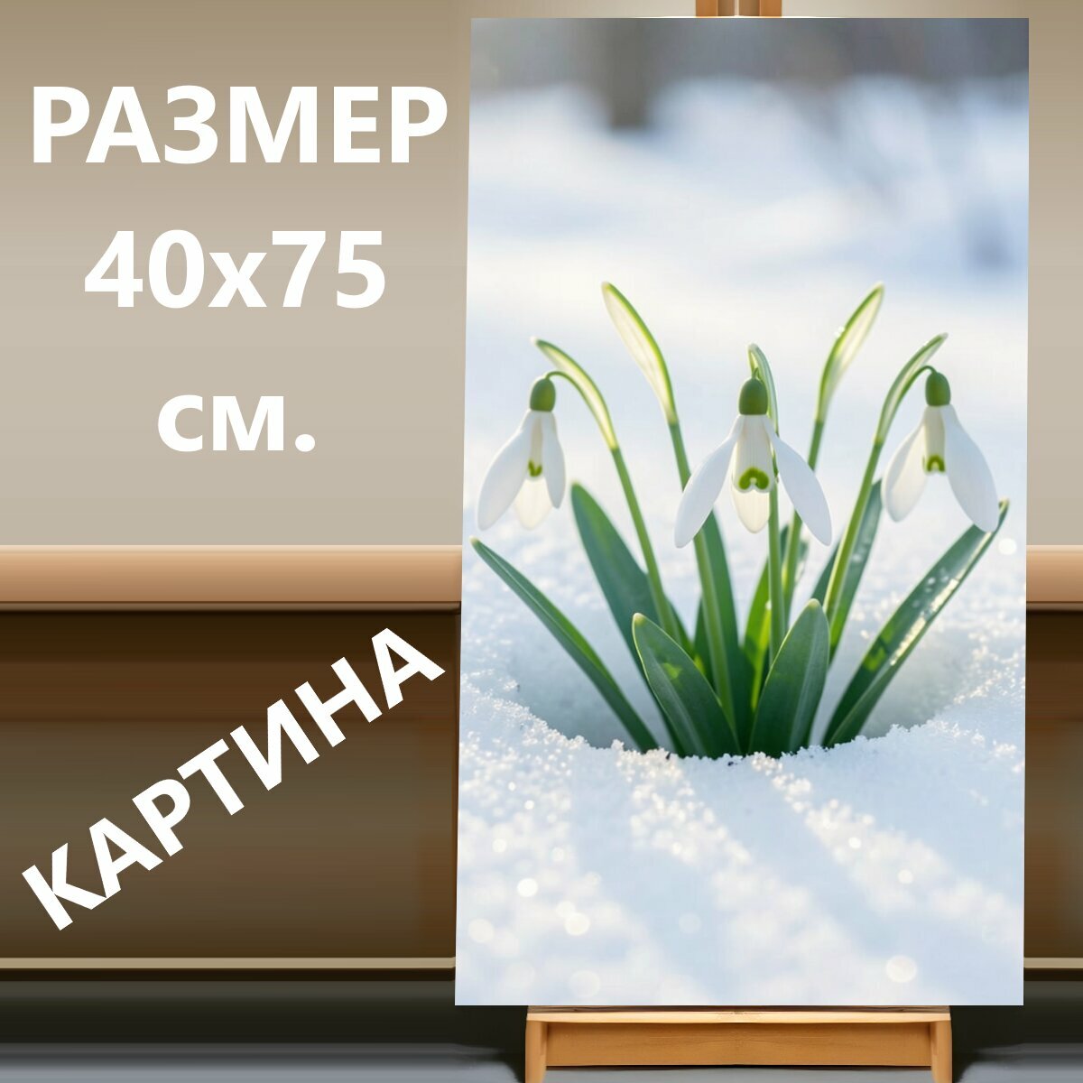 Картина на холсте "Подснежники в снегу. Нежные весенние первоцветы, пробивающиеся через белоснежный покров, с зелёными листьями и мягким." на подрамнике 75х40 см. для интерьера