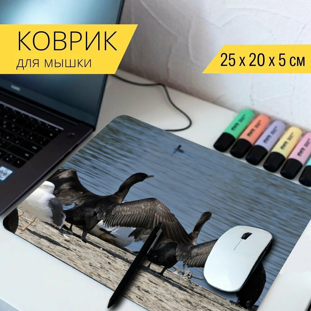 Коврик для мыши с принтом "Утки Сушка свои крылья Два уток с их крыльями, чтобы высушить их. Рядом с уток баклан птица утка утки птицы водоплавающие птицы водоплавающая." 25x20см.