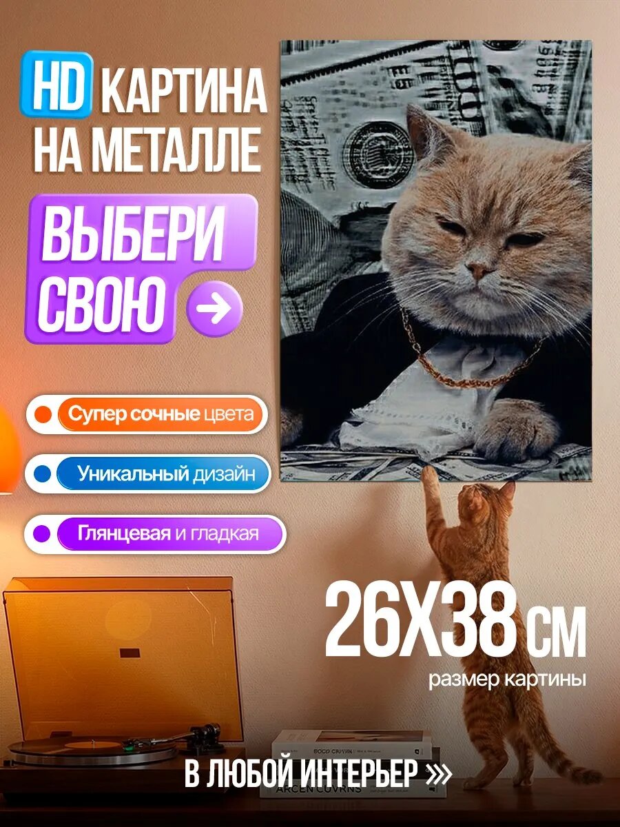 Картина на HD металле Кот в костюме