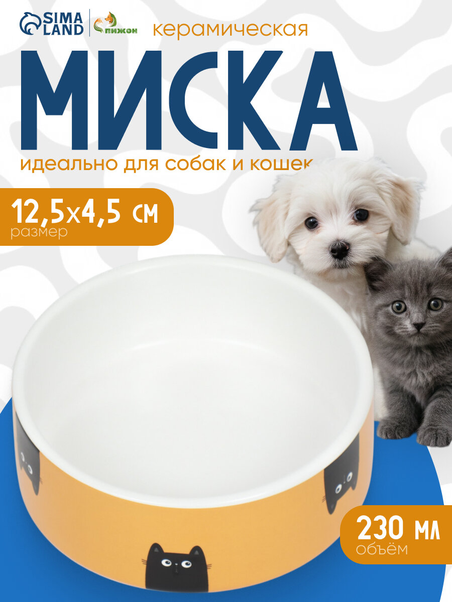 Миска Пижон "Удивление", для кошек, керамика, желтая, 230 мл, 12.5×4.5 cм