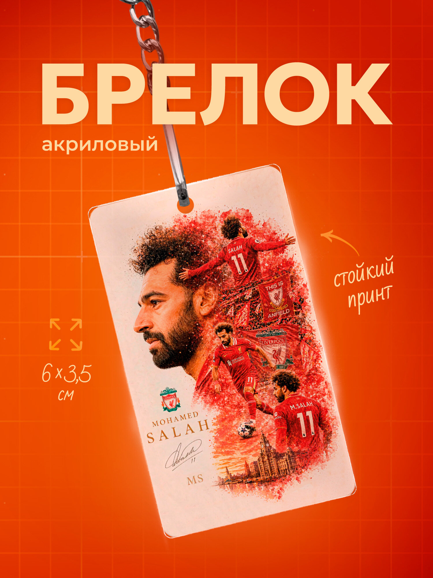 Брелок IREVIVE
