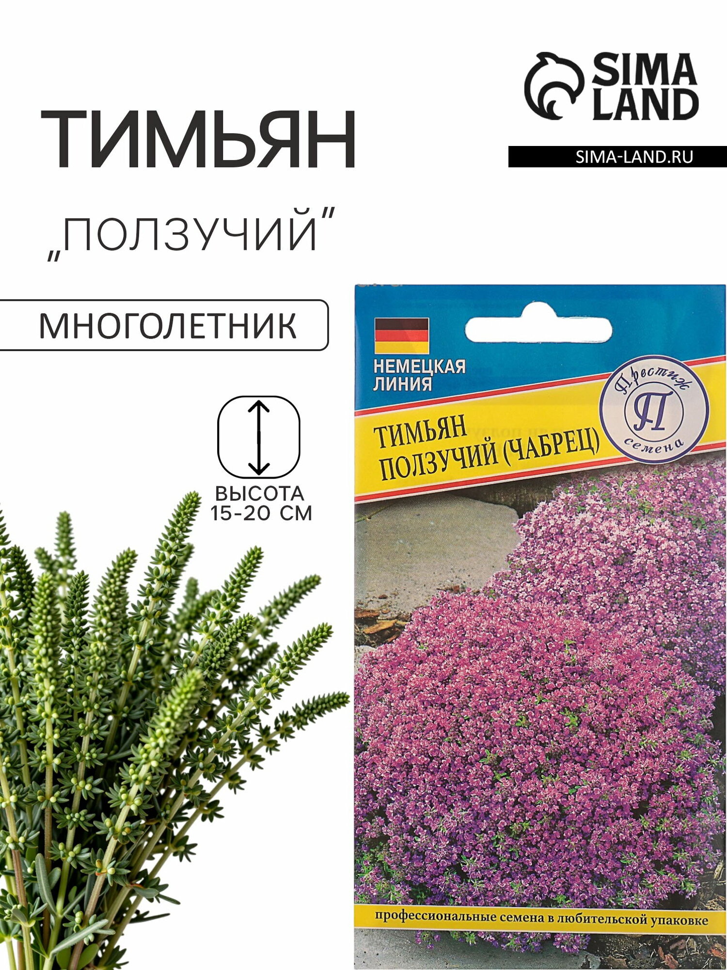 Семена Тимьян ползучий, чабрец, 0.05 г, посев на рассаду: апрель, 3 шт.