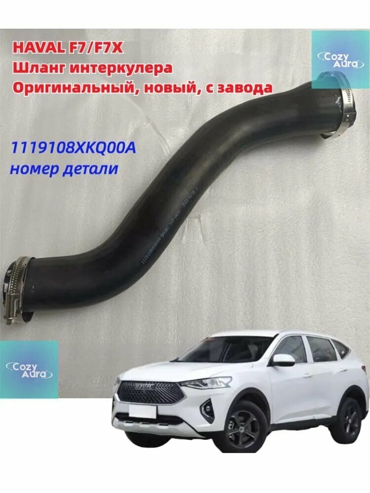 Защита внешних частей автомобиля