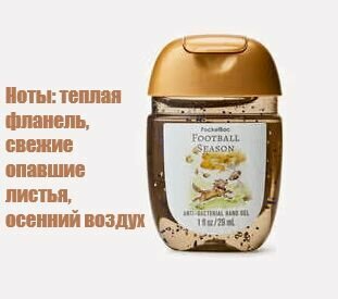Bath & Body Works / Санитайзер для рук антисептик Football Season