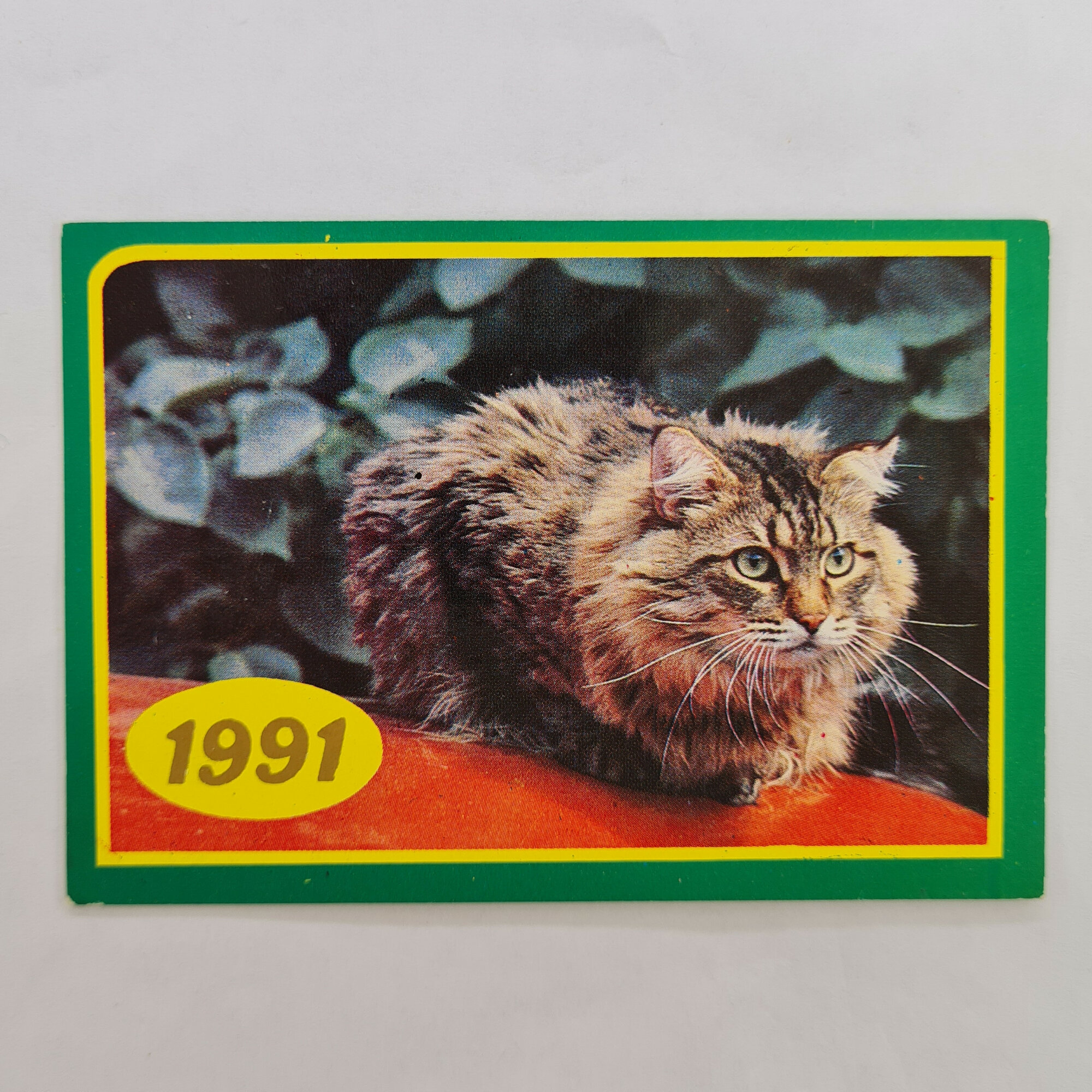 Карманный календарик СССР 1991. Пушистая кошка, домашние животные. Советский календарь