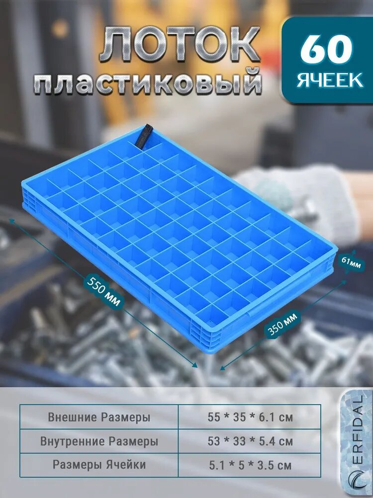 ERFIDAL Кофр для хранения вещей "SLTP", 55 см х 35 см х 6 см , 1 шт