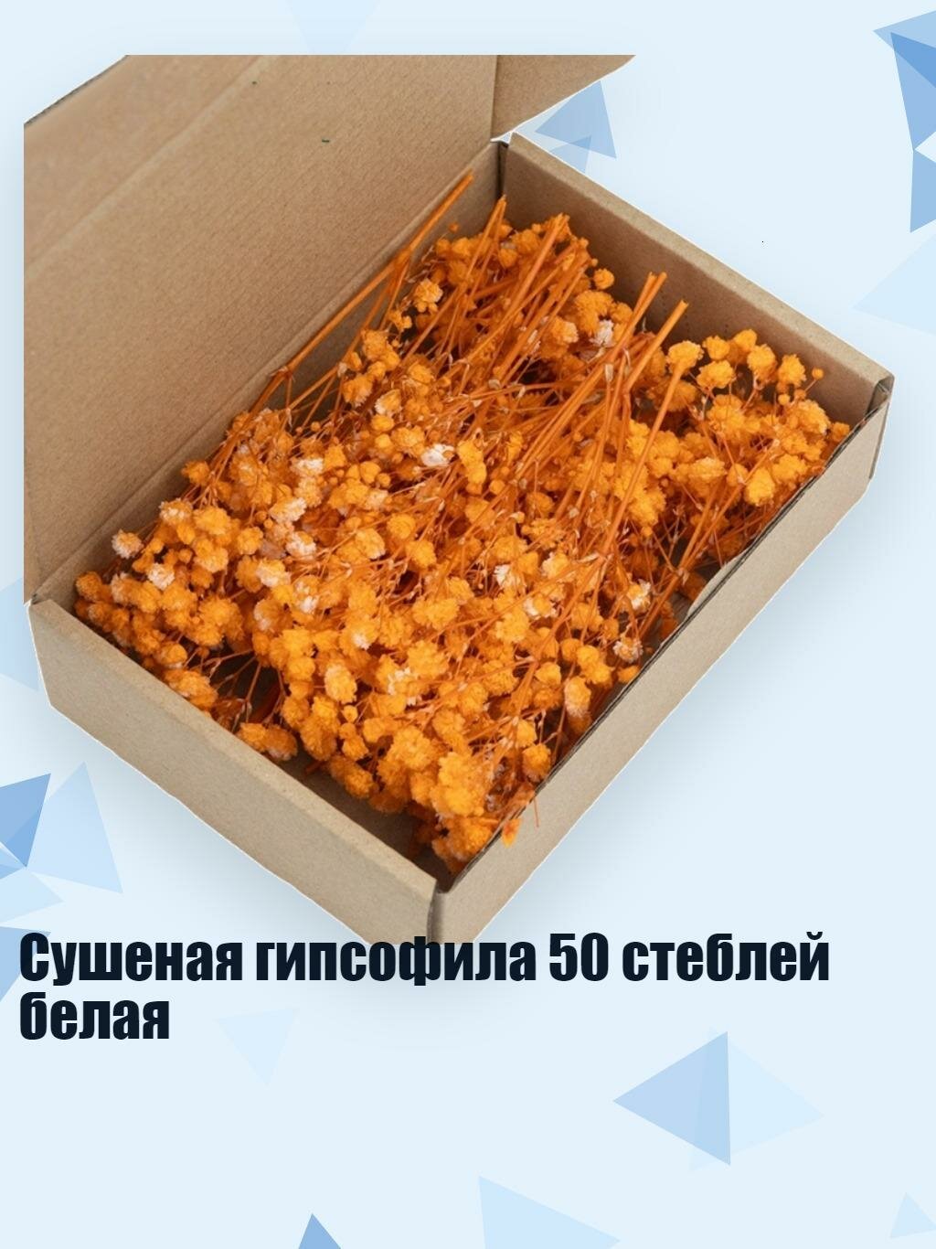 Сушеная гипсофила 50 стеблей белая, 6