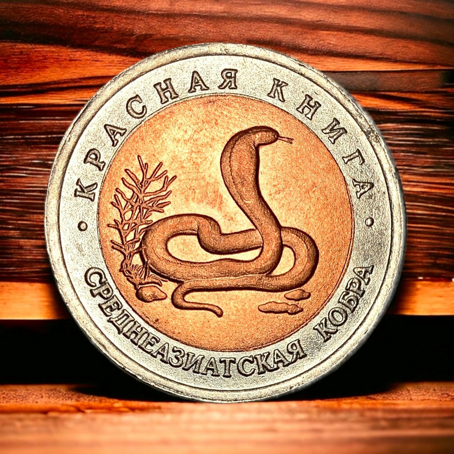 Монета России 10 рублей 1992 года. Красная книга. Среднеазиатская кобра. Люксовое состояние