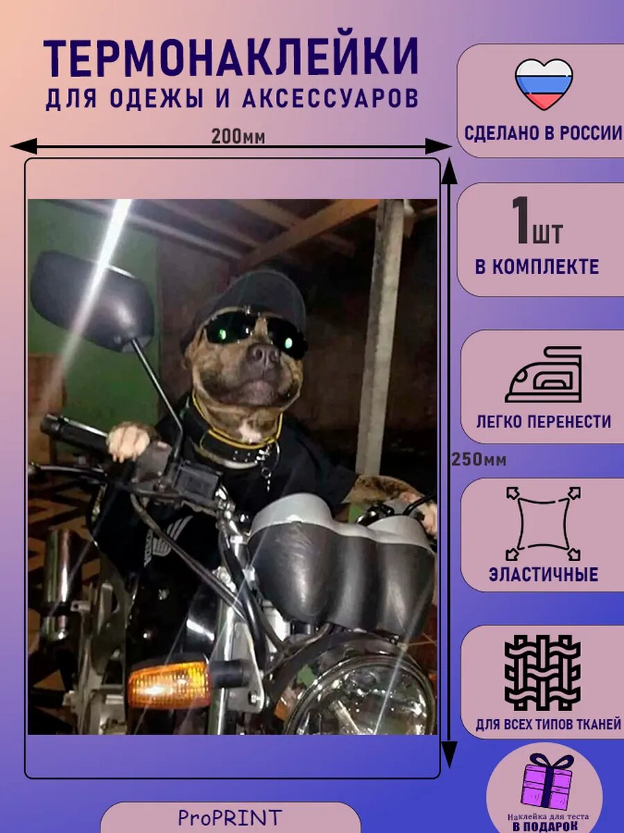 Термонаклейка на одежду взрослая