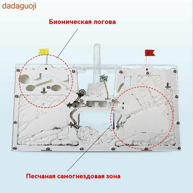 Муравьиная ферма — фото 1